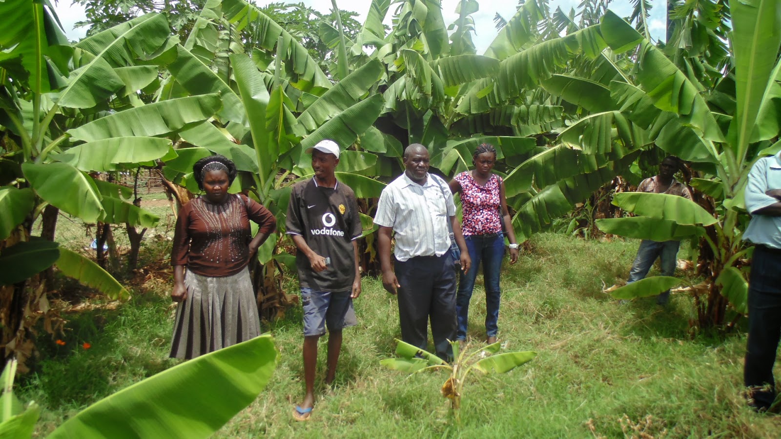 Marigat Citizen Voices (MCV): Smart Agriculture through crop ...