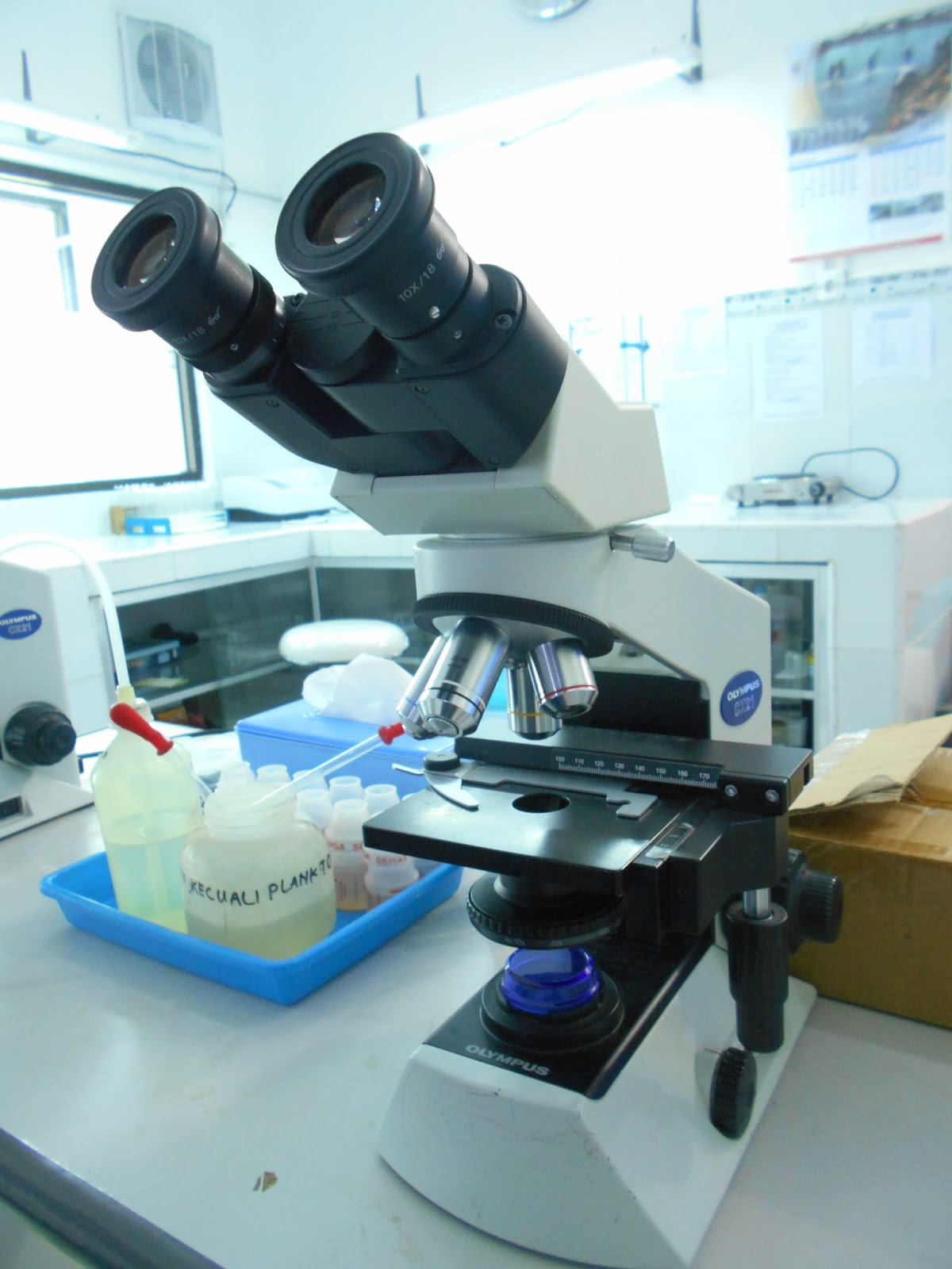 Ilmu Pelita Kehidupan: Pengamatan & Penghitungan Plankton