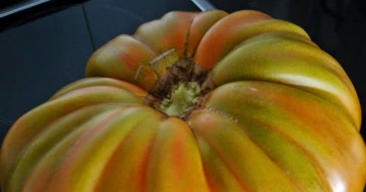 La Rioja de la A a la Z: FRITADA - Receta de Cocina