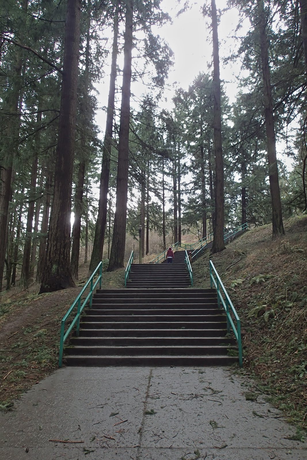 Casing Oregon: Mount Tabor: A Case History