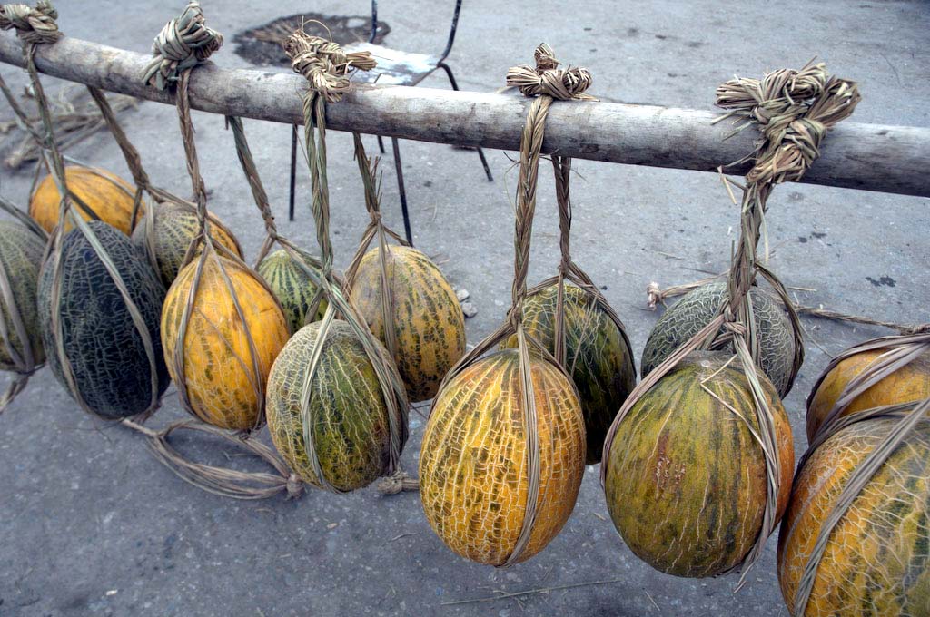 Uzbek Brian: Fruit in Uzbekistan: Photo Collection from A Fruitarian's ...