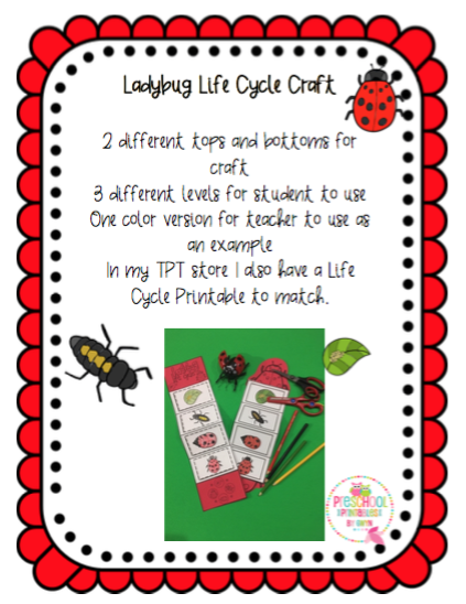 Ladybug Life Cycle Craft