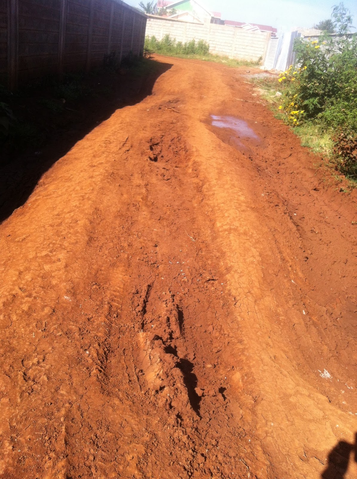 The Poor State Of Roads Now becoming a Real Concern To Ngoingwa ...