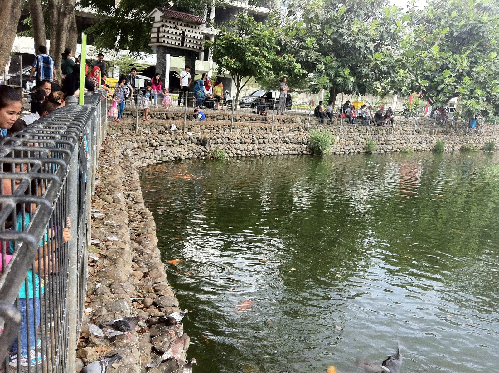 Taman Burung Cemara Asri - Travelicious