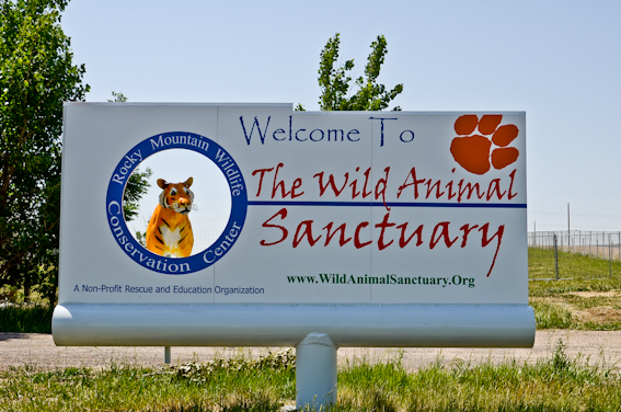 Knitty baker: Wild Animal Sanctuary