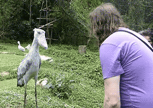 なごみのトピ | ガールズちゃんねる - Girls Channel