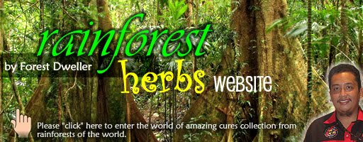 Forest Dweller: Field Trip to Matang Mangroves and Segari Melintang ...