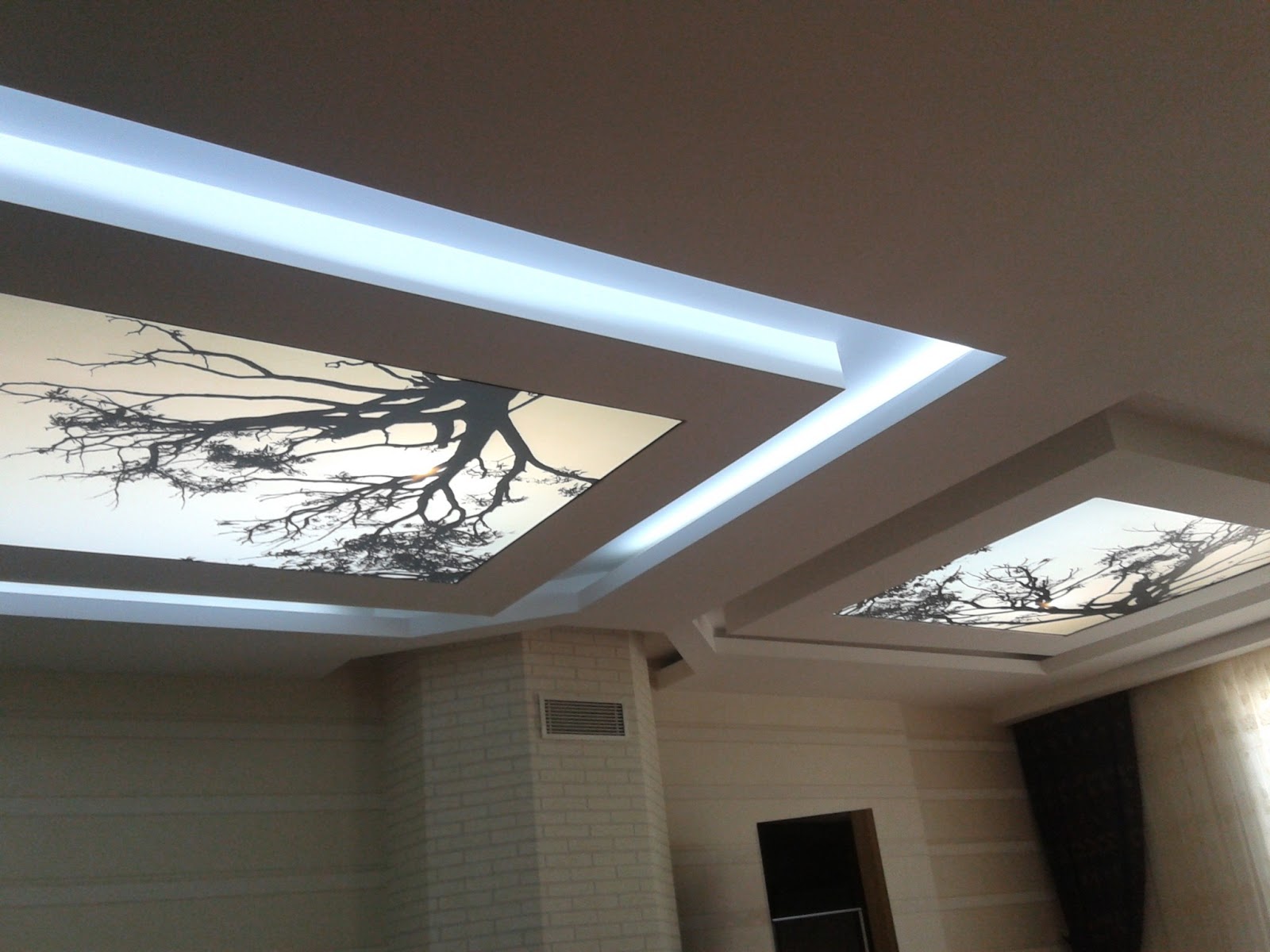 Ev Dekorasyon Tasarim: En Yeni Gergi Tavan Modelleri