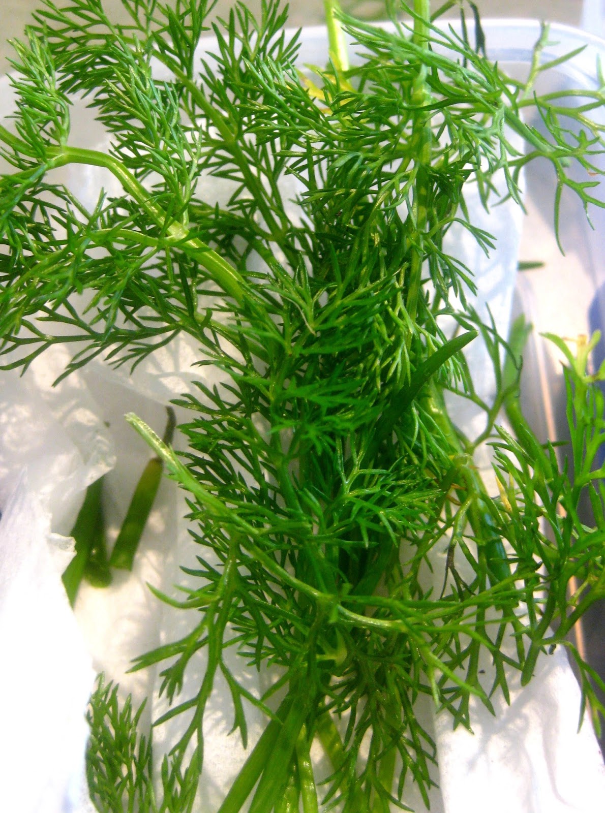 Something Else to Eat: Beautiful buckwheat blinis