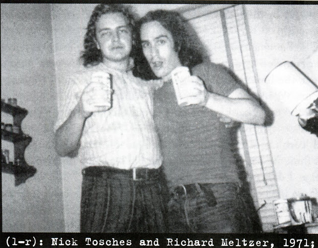 A Seasoned Taste: Richard Meltzer - Rock N' Roll Writer