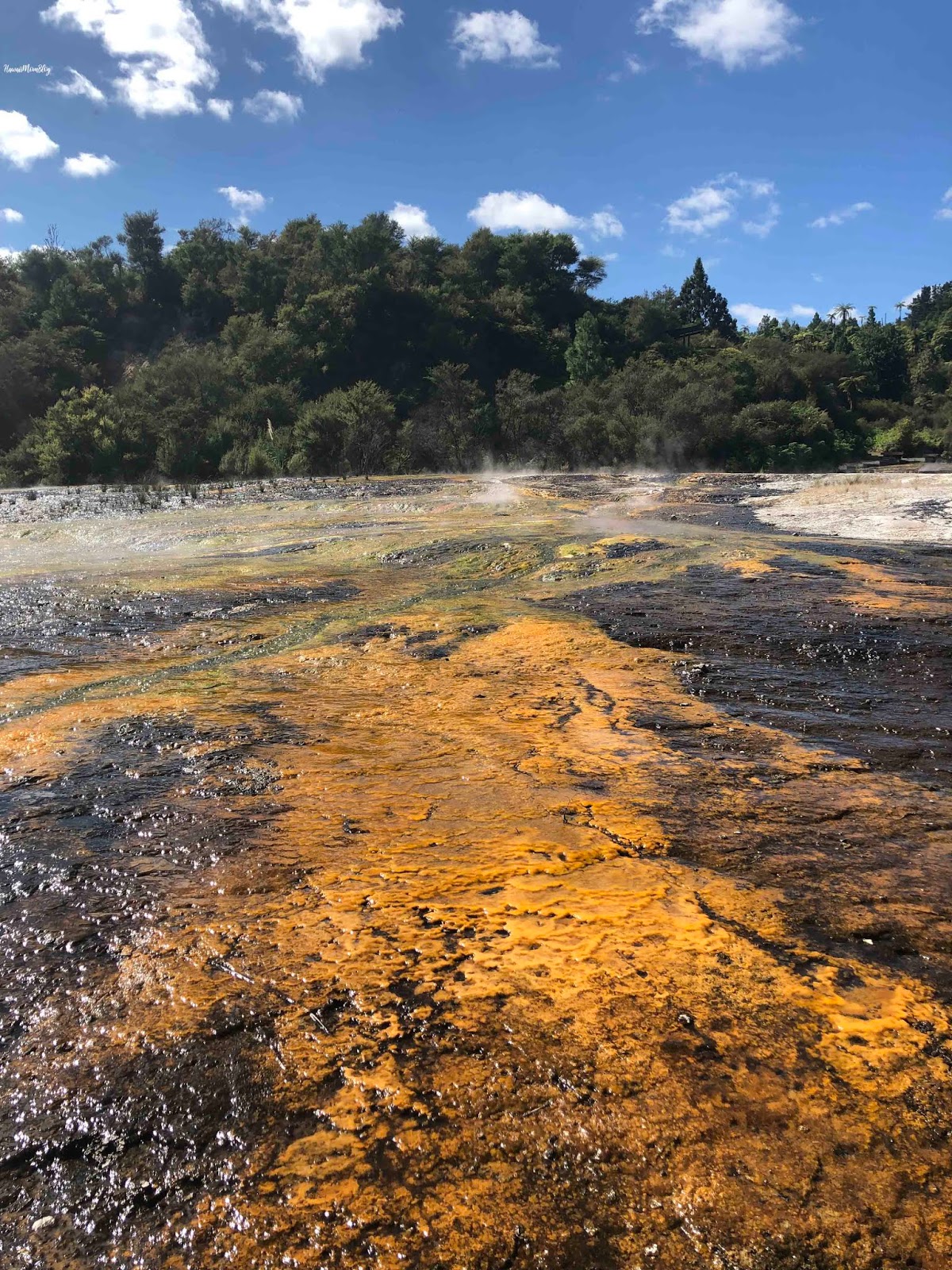 Hawaii Mom Blog: Visit New Zealand: Orakei Korako Geothermal Park