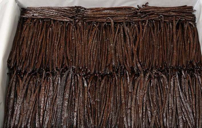 Indian Vanilla Initiative