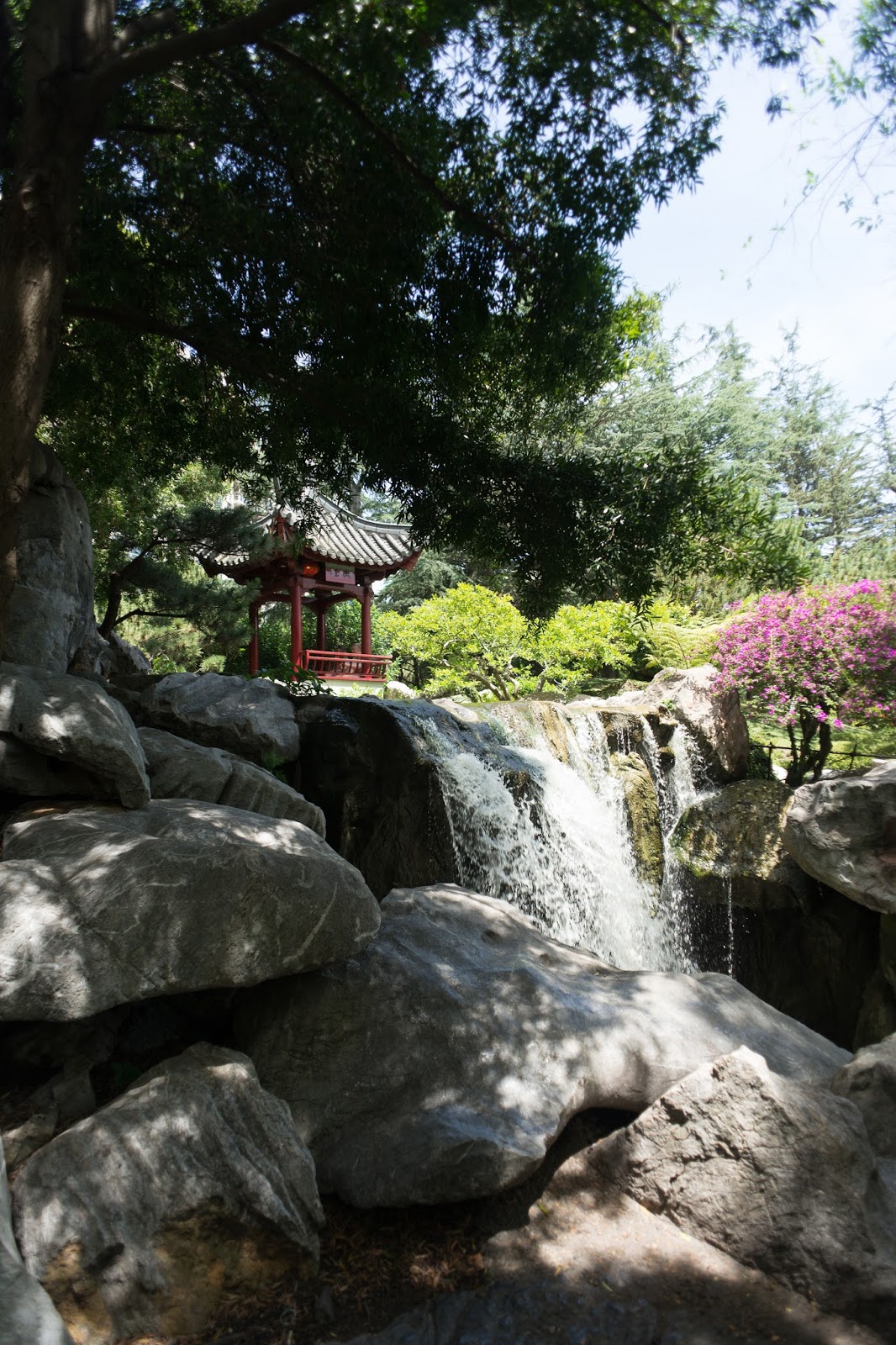 Travel (Ridgeback Ramblings)