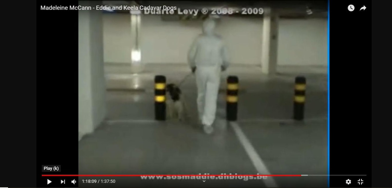 Textusa: Mark Perlin - Channel 7 Sunrise