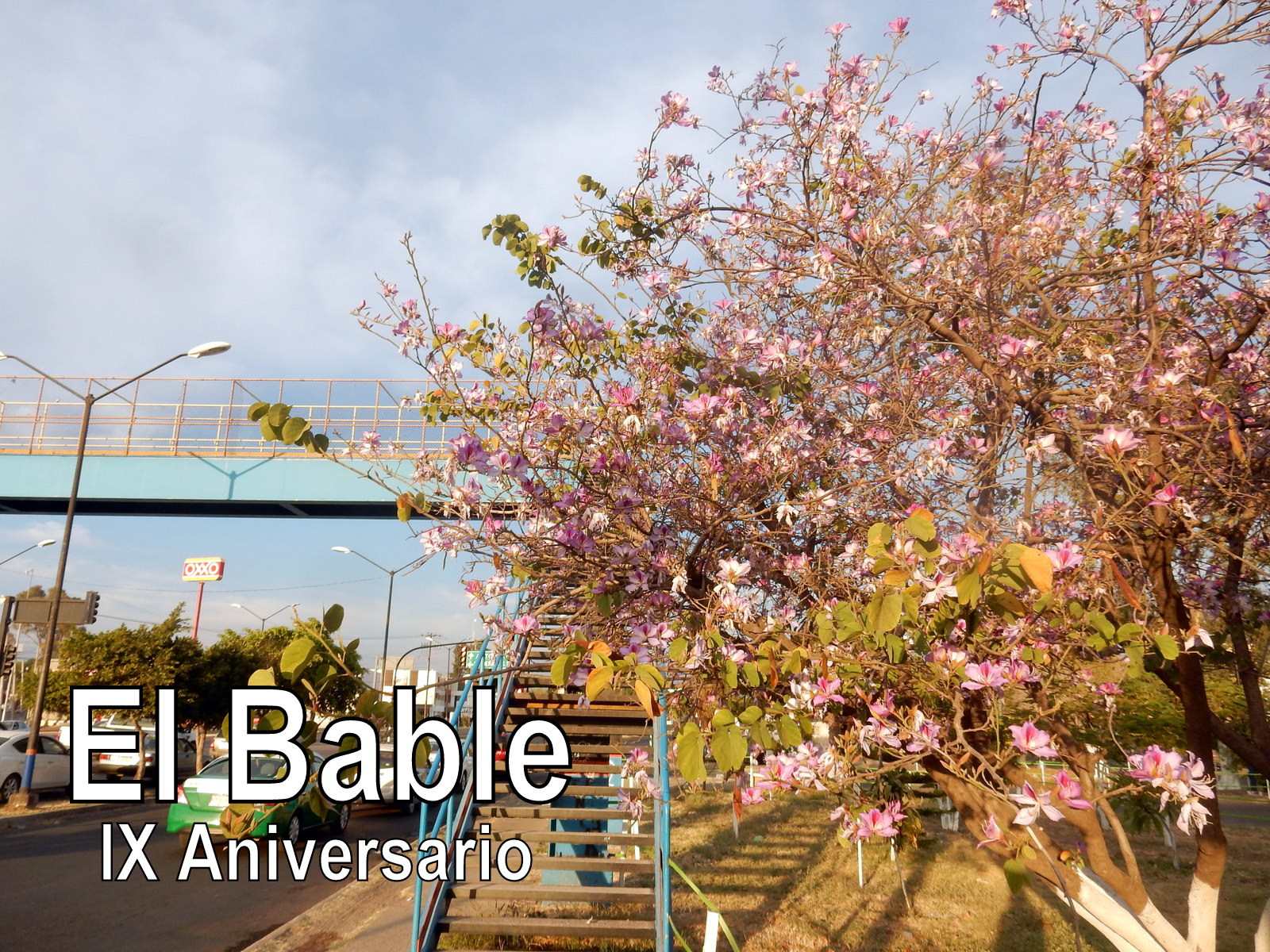 El Bable: diciembre 2017