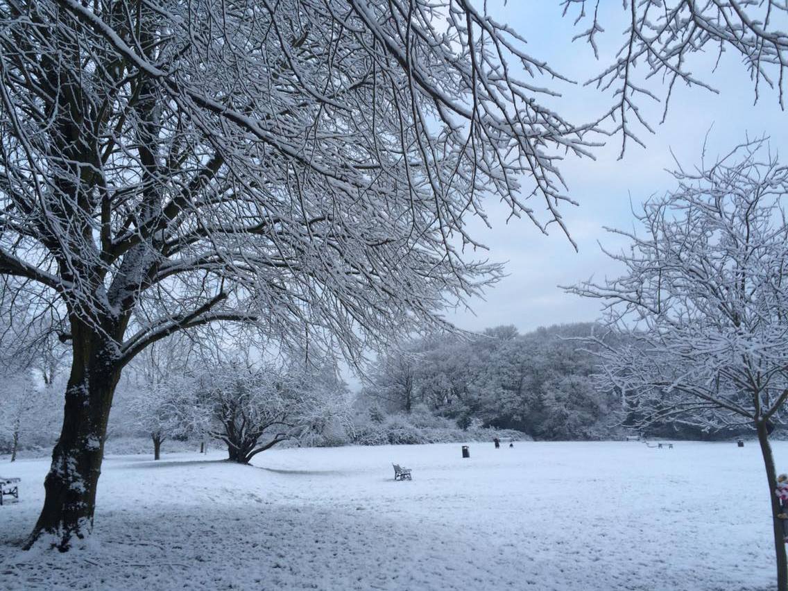 Winter Wonderland, some snowy scenes from over the weekend. - Roses and ...