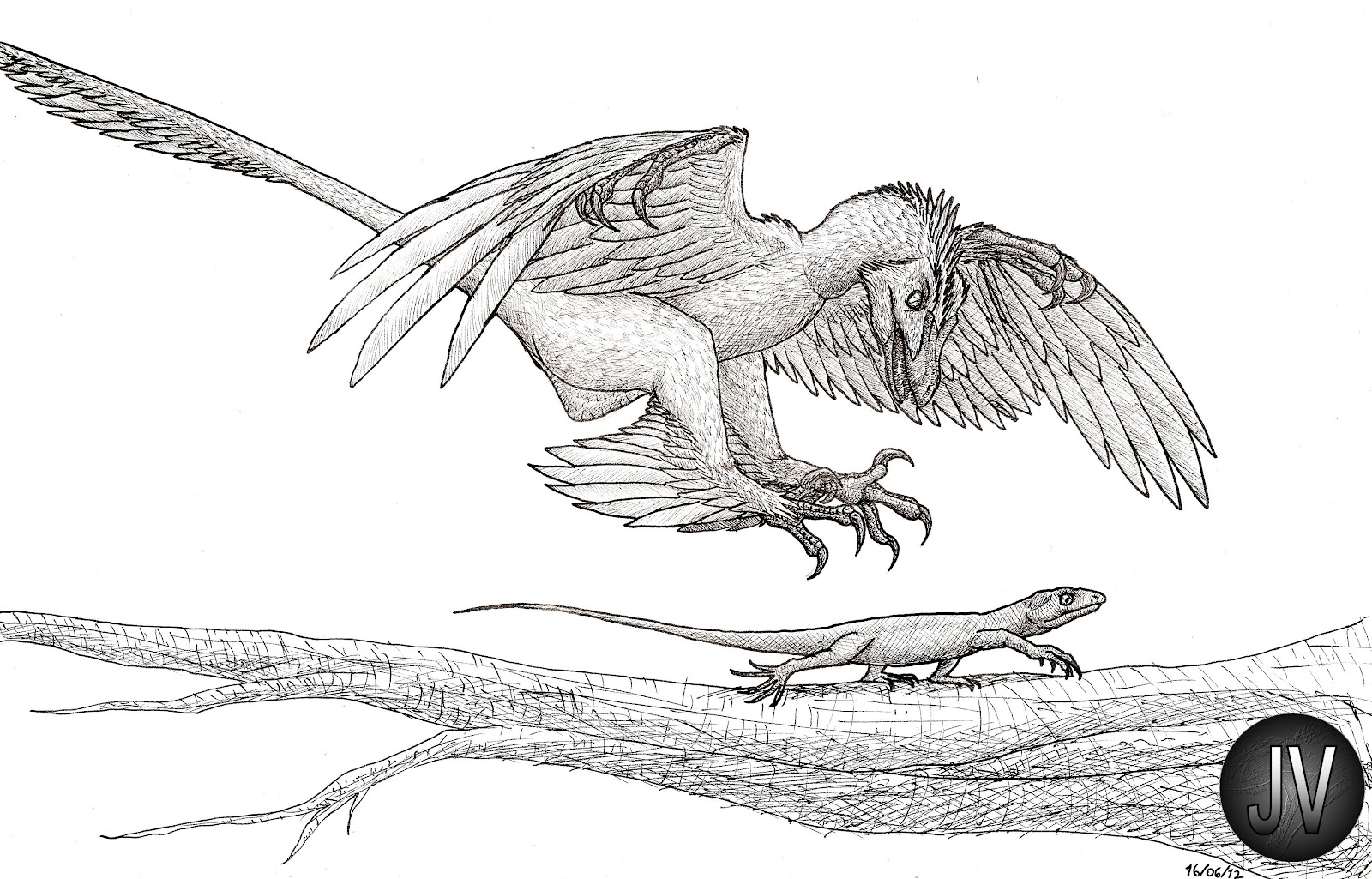 Vitor Silva - Paleoartista: Microraptor