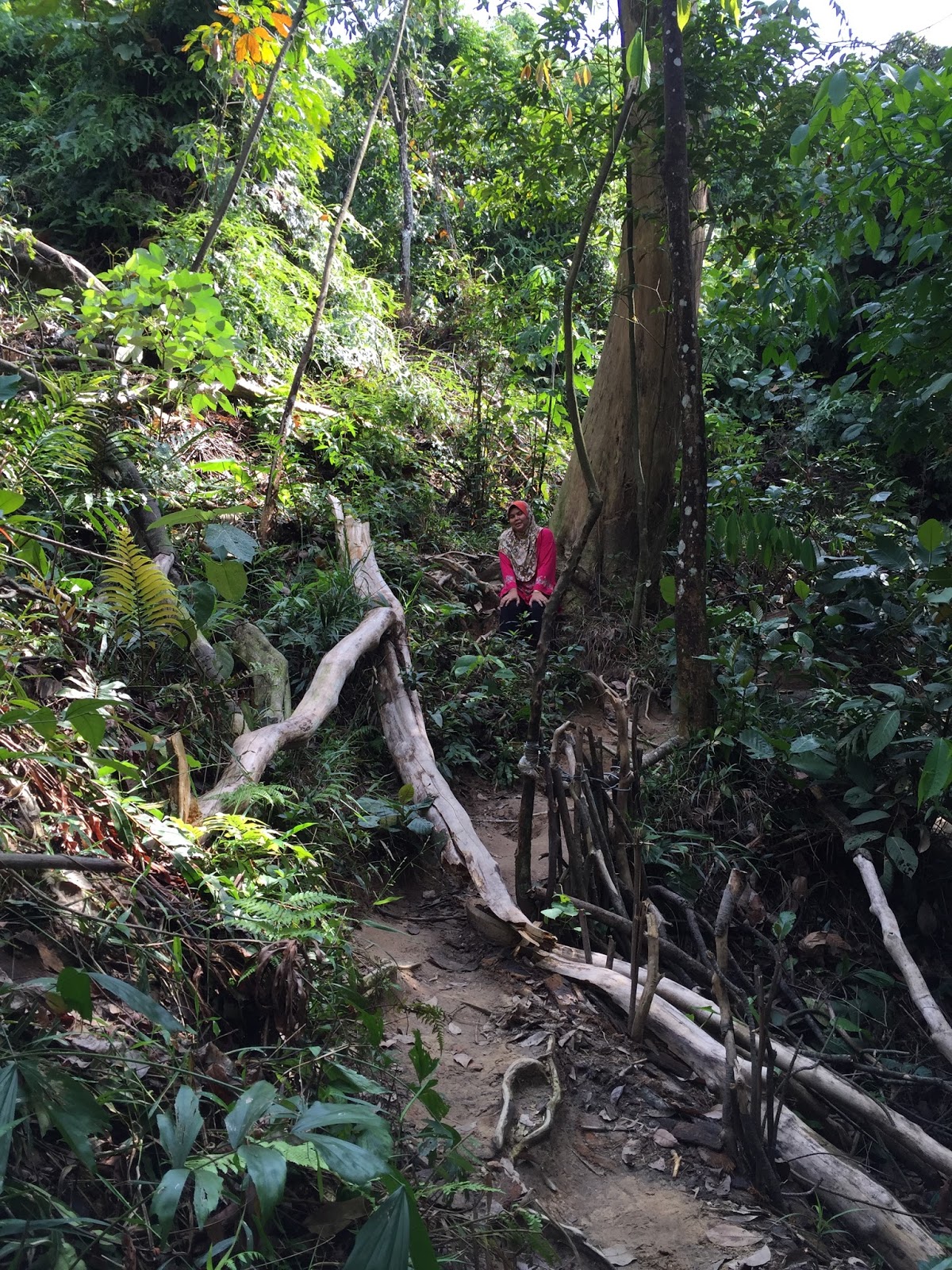 HIKING @ BUKIT GASING, PETALING JAYA HIKING @ BUKIT GASING, PETALING JAYA