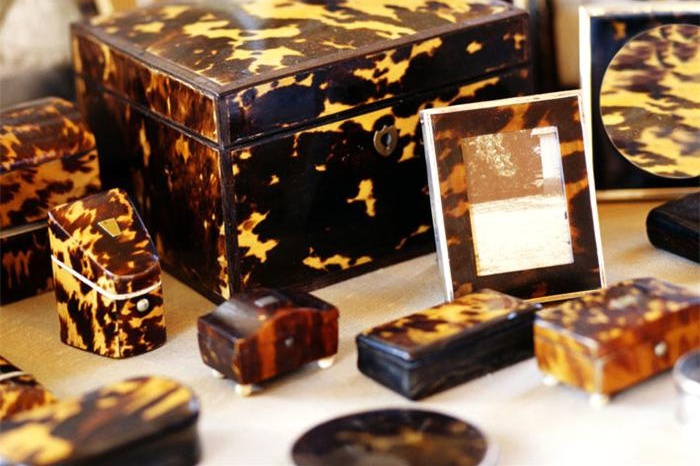 Meet Me in Philadelphia: Totally Tortoise