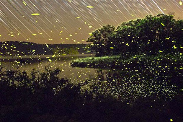 MAGICK RIVER: 5/18/14 - 5/25/14