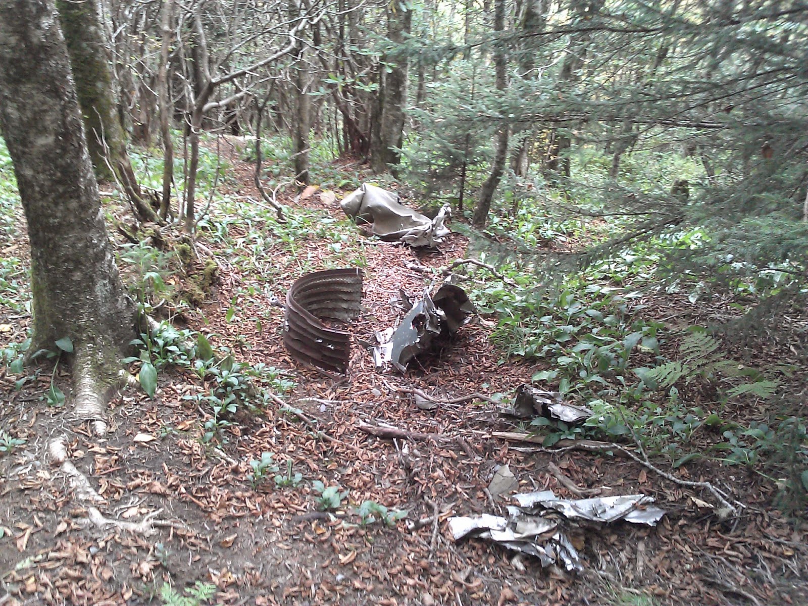 Hikes: AT (NFG to Snake Den) - Snake Den