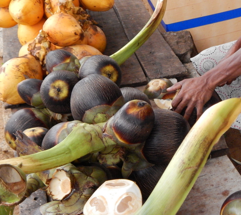 Images of Sri Lanka on blogspot.com: 'Nongu' - the jelly like kernel of ...
