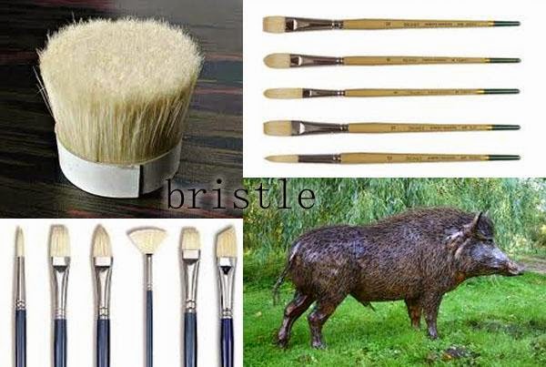 AWAS !!! Ada Kuas Roti Yang Terbuat Dari Bulu Babi | Suara Hati