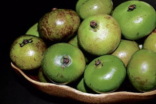 Batwan/Batuan” Fruit That Everybody Should Know