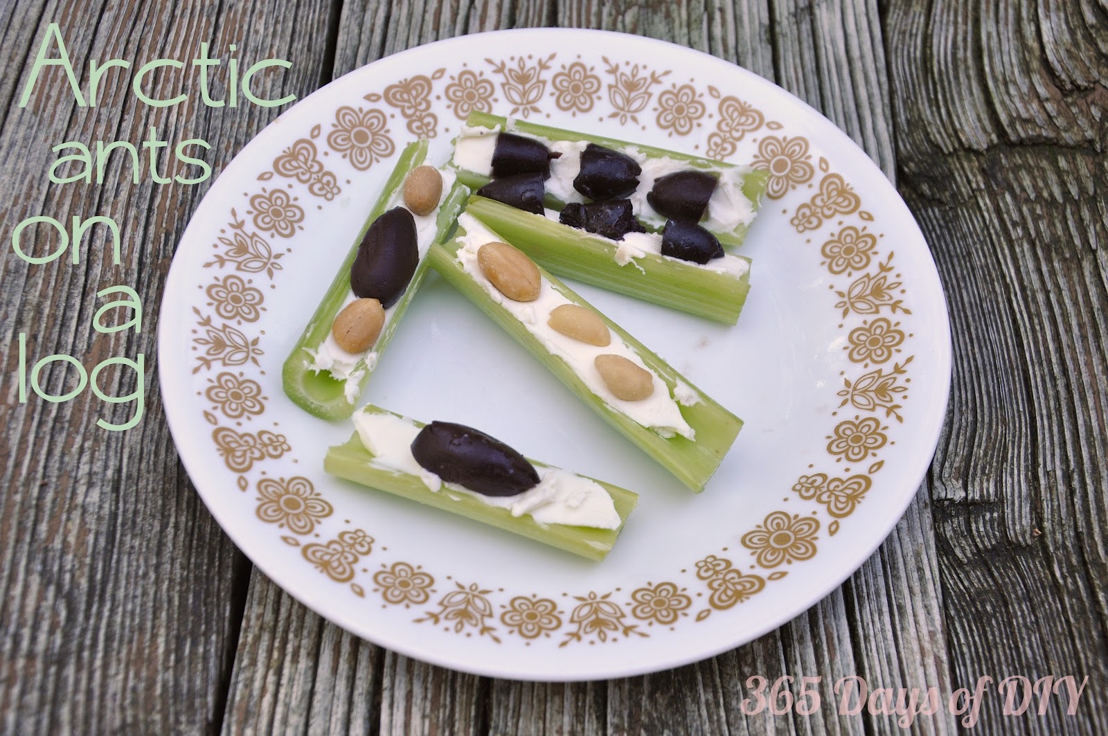 365 Days of DIY: Arctic Ants On A Log