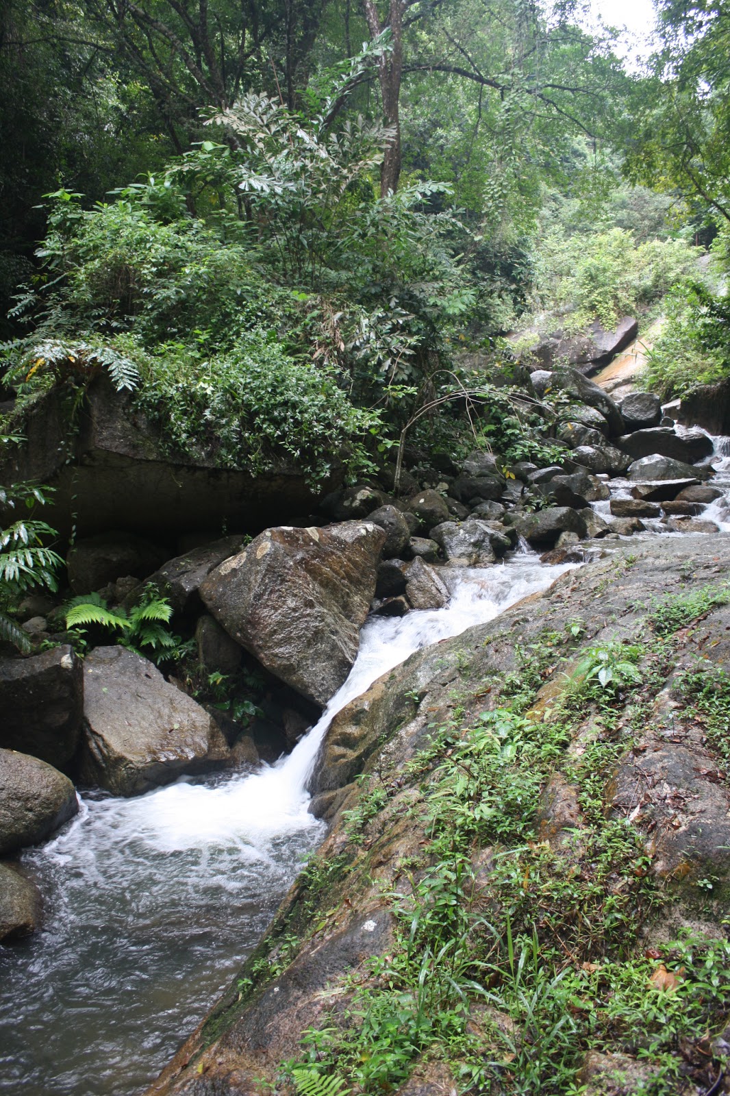jalanjalan: Titi Kerawang Waterfall, Penang