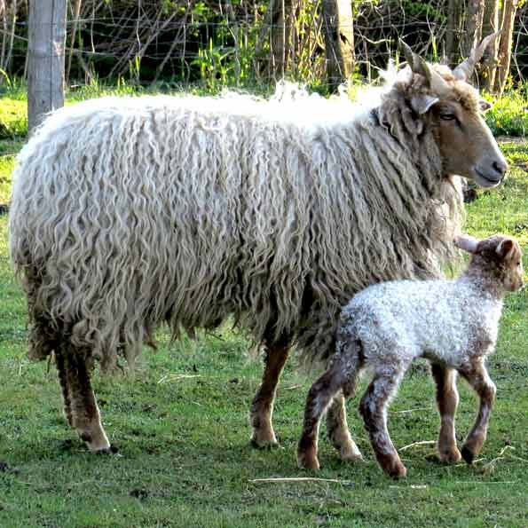 Girls Gardening in France: Early April