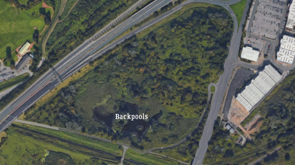 Where Is Bidston Moss?