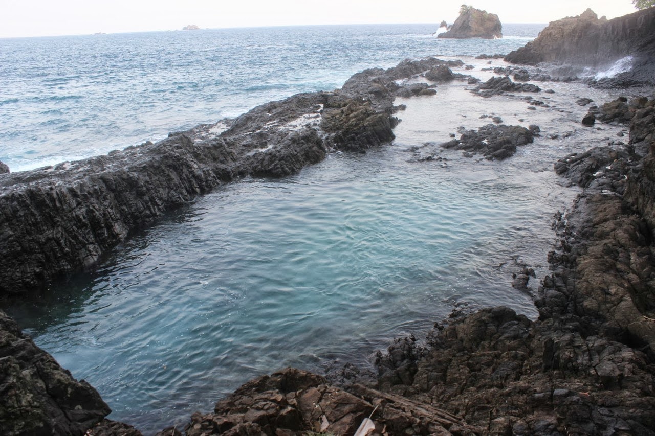 Teluk Kiluan Dolphin Bay, Surganya Lumba-Lumba di Ujung Sumatera - Heri ...