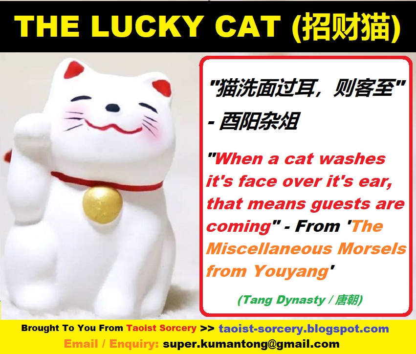 TAOIST SORCERY MEMES