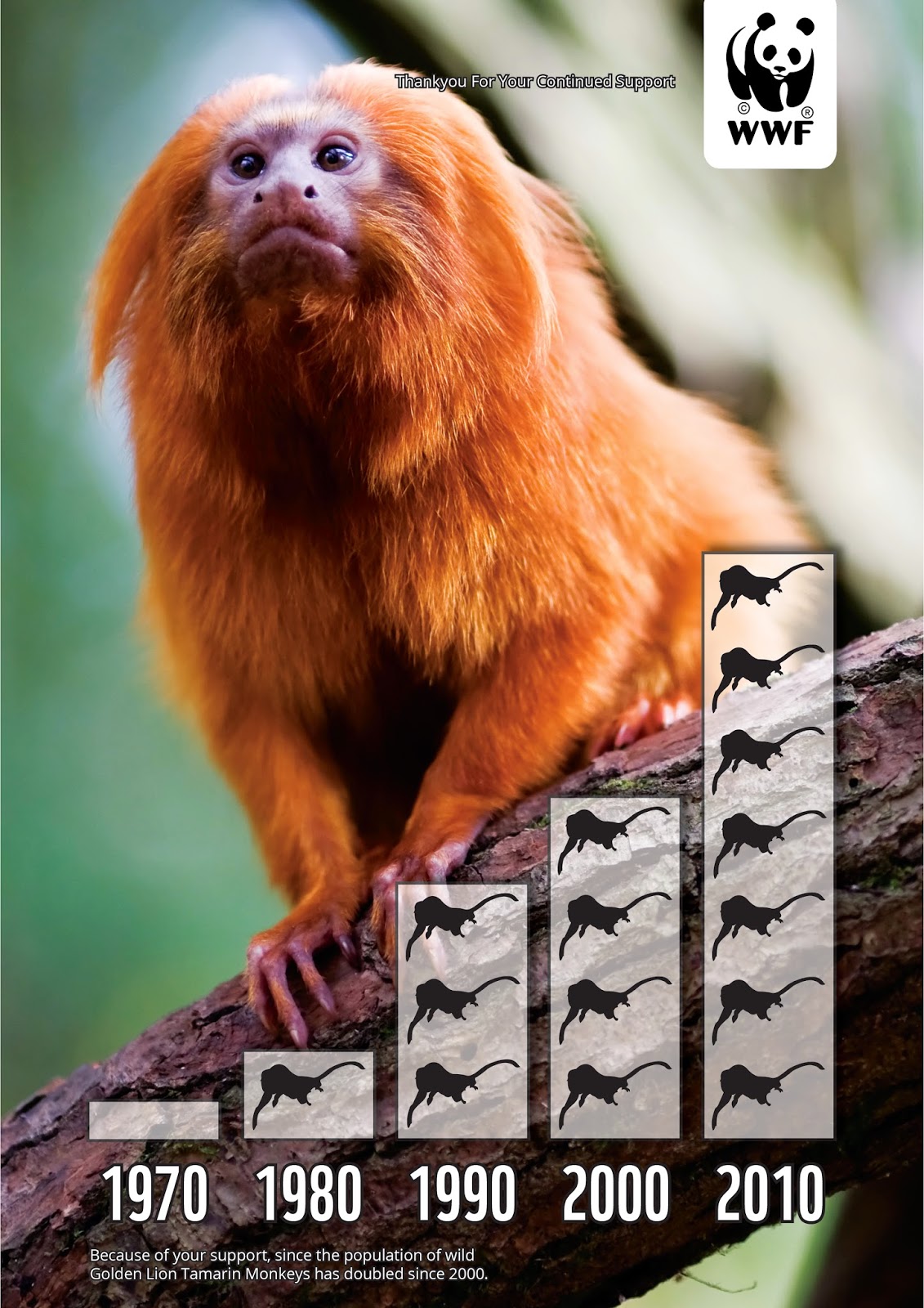 Matthew Brewer - Design Context L5: Positive WWF Campaign Posters