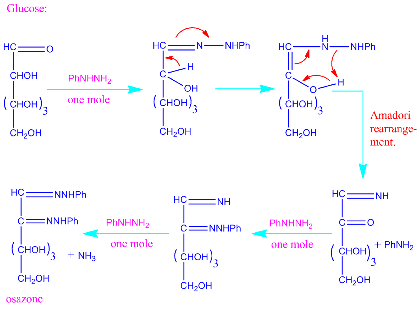 Definition of Amadori rearrangement - PG.CHEMEASY