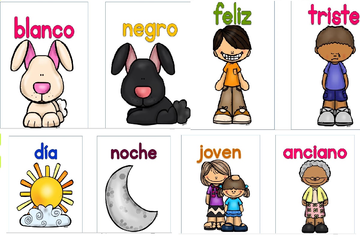 Entretenidas Tarjetas Para Trabajar Los Antónimos ~ Diplomas Gafetes Y Material Educativo