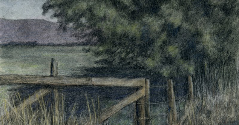 David King Studio: Drawing the Mundane