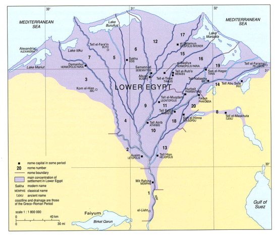 Traveling Egypt: The Great Bitter Lake and the Nile Delta: July 2019