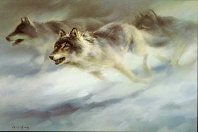 National Wildlife Galleries: The Art of Manfred Schatz