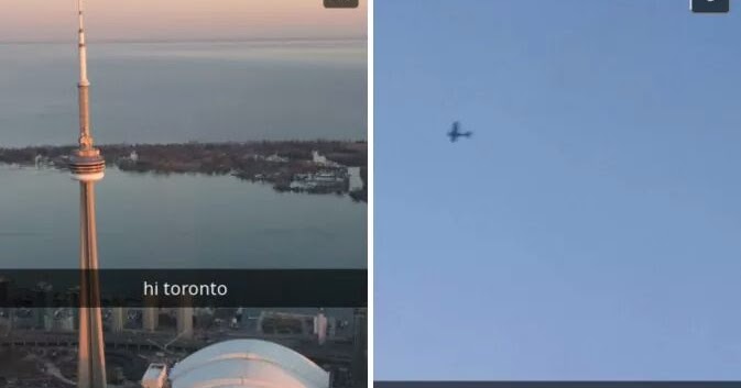 3 Memes a Day: Toronto, Memes and Puppy