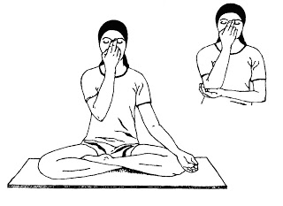 El camino del yoga: NADI SHODHANA