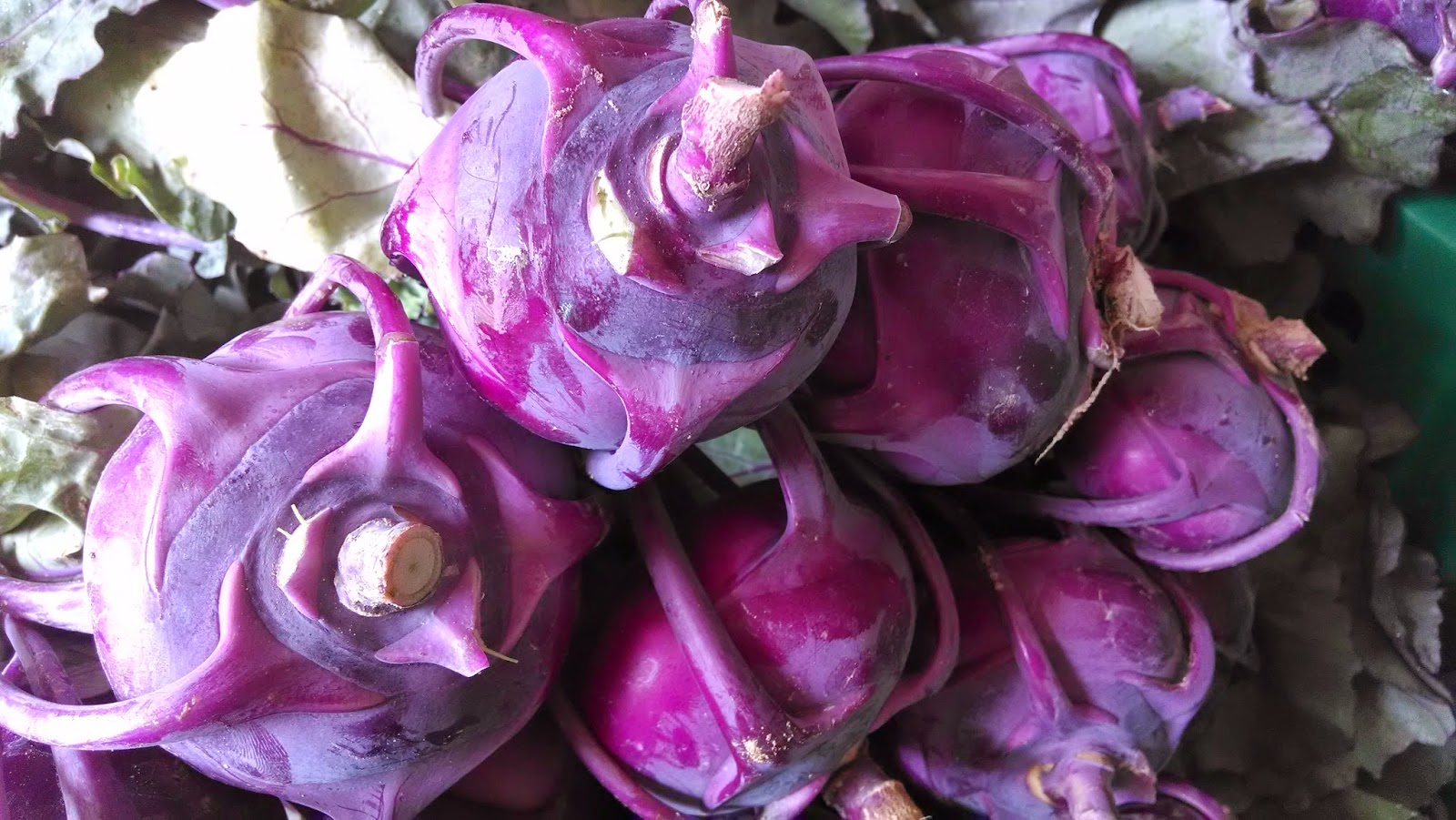 A Farmer's Wife: My Sustainable Farmhouse to Yours