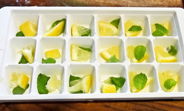 Mint and Lemon Slice Ice Cubes