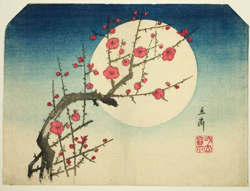 Cook Ding's Kitchen: Cheng Man Ching Short Tai Chi Chuan and Yang Long ...