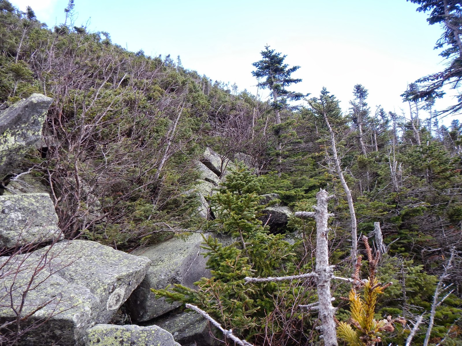 Hitting the Trails: 10/20/2013-10/21/2013 Mount Adams and The Great Gulf