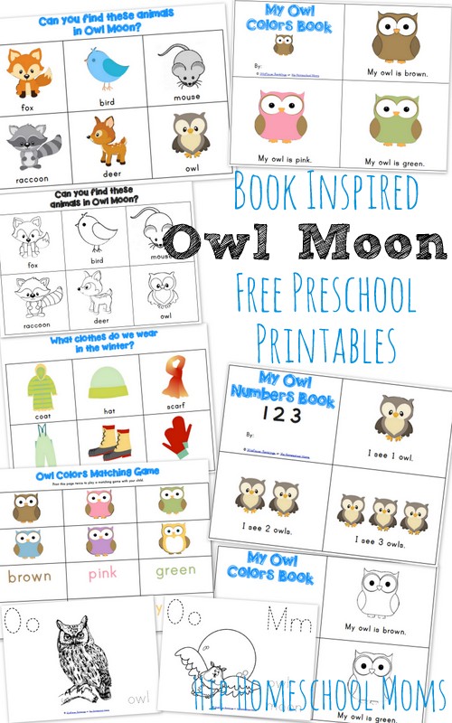 Owl Activities for a Owl Preschool Theme | Preschool Powol Packets