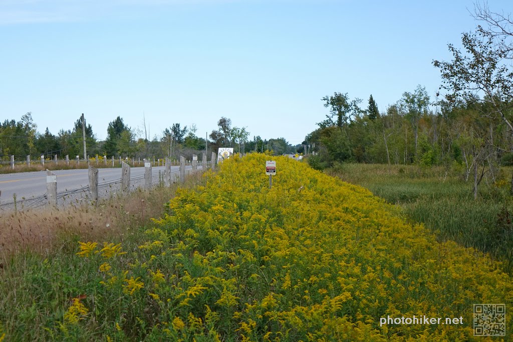 PhotoHiker: 周末骑行 - Omemee Rail Trail