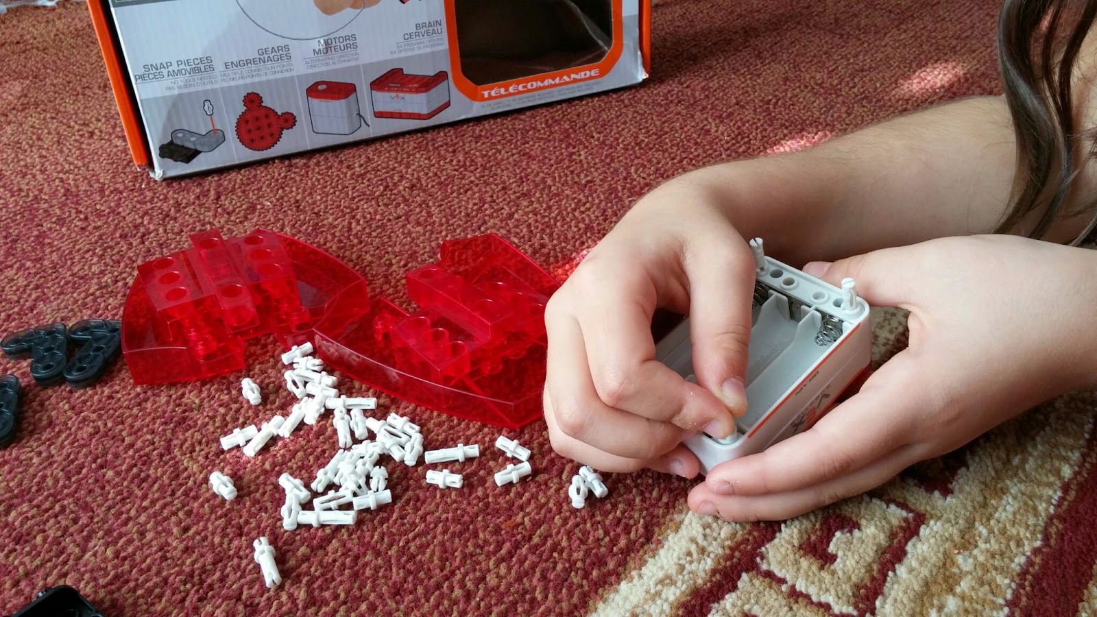 VEX Robotics Giant Ant Kit by HEXBUG | Toronto Teacher Mom