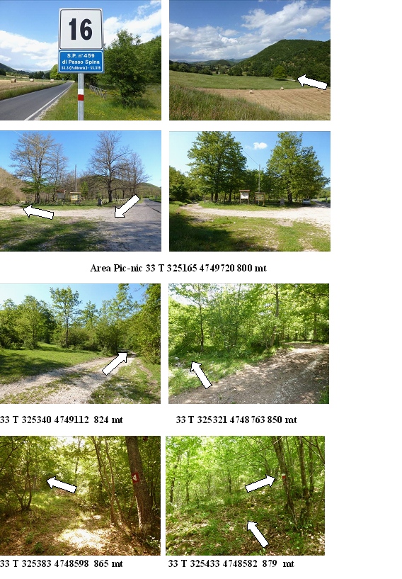 TREKKING FOLIGNO: SENTIERO 584 Cammoro – Sellano